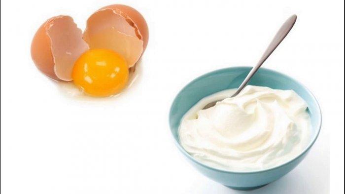 Tak Cuma Kaya Vitamin, Ini 6 Manfaat Putih Telur, Bisa untuk Cegah ...