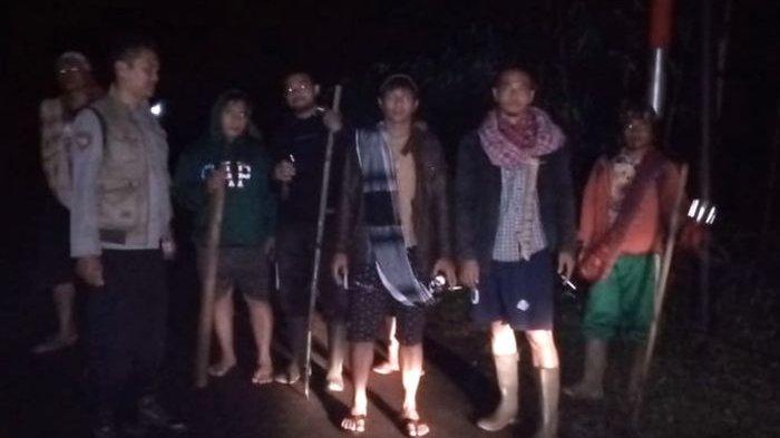 Aksi Heroik Polisi dan Warga di Singajaya Garut Gagalkan Pencurian Kerbau, Kejar Pelaku hingga ...
