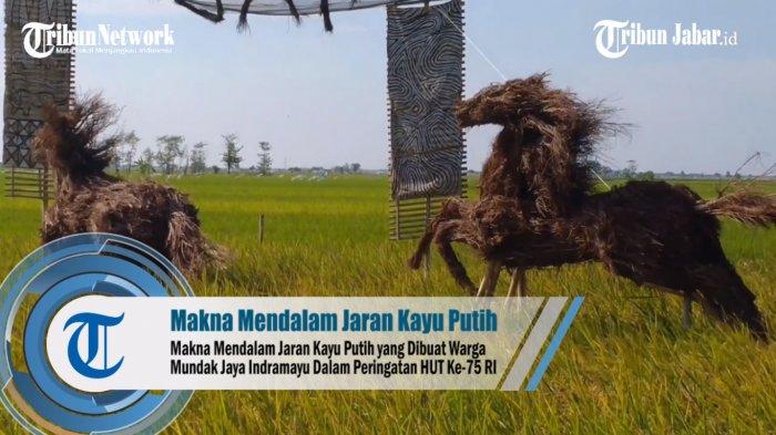 VIDEO Mengintip Makna Mendalam Jaran Kayu Putih yang Dibuat Warga ...