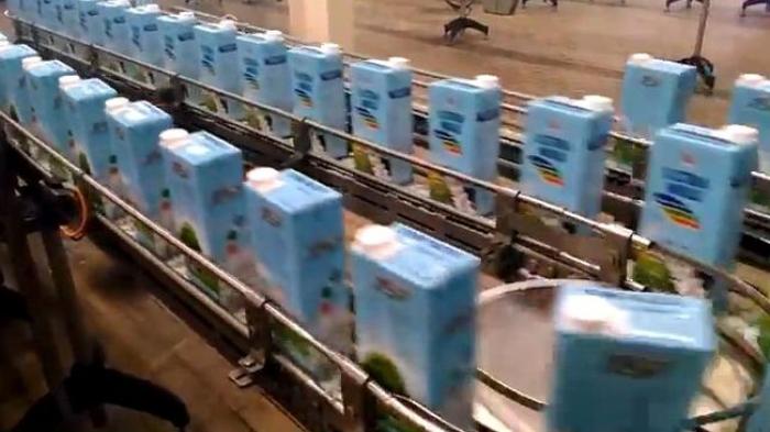 [VIDEO] Begini Suasana di Pabrik Pembuatan Susu Kemasan - Tribunjabar.id