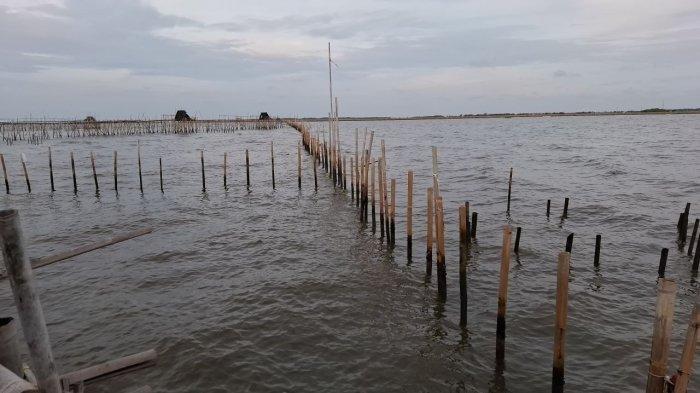 Kades Kohod Tersangka, Warga Rayakan dengan Pesta Kembang Api tapi Masih Ada Pagar Laut di ...