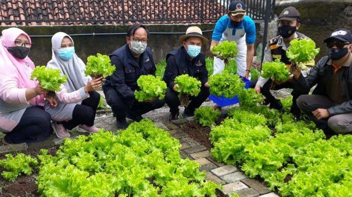 Buruan SAE Kota Bandung Go Internasional, Sejumlah Negara akan ...