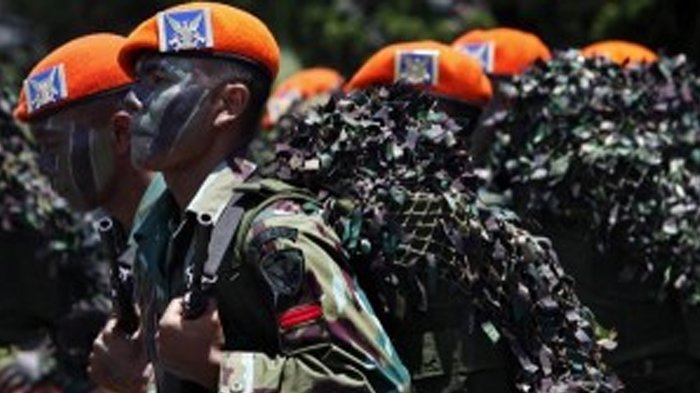 Makna Kata 'Khas' Pada Nama Paskhas TNI AU, Lihat Kehebatannya ...