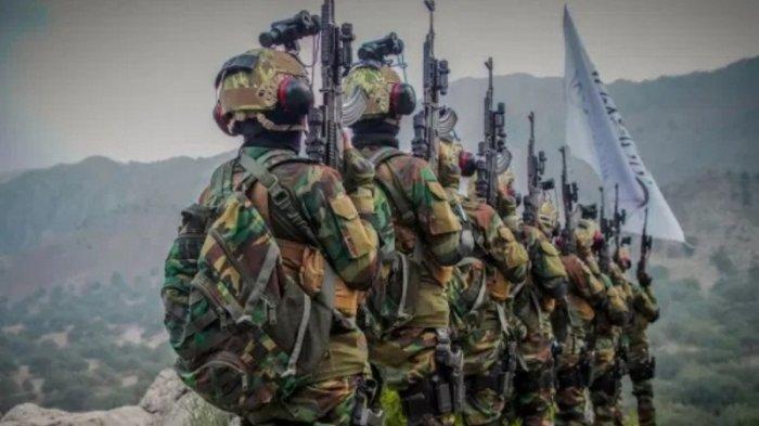 5 Fakta Pasukan Elite Taliban Batalyon Badri 313, Ujung Tombak ...