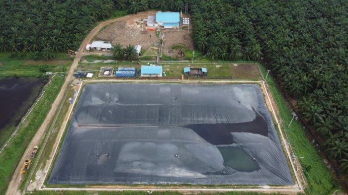 PLN Berhasil Uji Coba Pembangkit Listrik Biogas di Riau, Siap Pasok ...