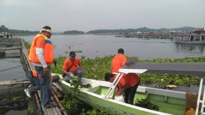 Ratusan Petani Ikan Cirata Gelar Acara Pembersihan Area Genangan dari ...