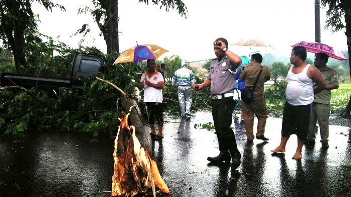 Pohon Tumbang Menimpa Mobil, Angin Puting Beliung Sapu Kawasan Tomo dan ...