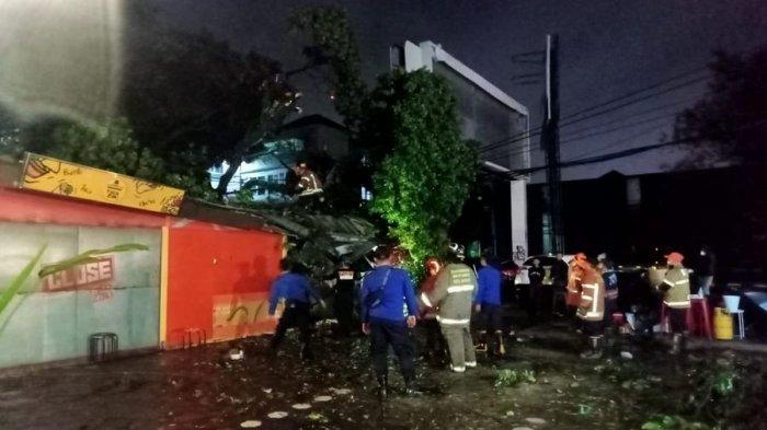 Pohon Setinggi 15 Meter Tumbang Timpa 3 Kios Makanan di Kota Bandung ...