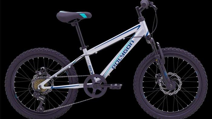 Murah! Ini Daftar Harga Sepeda Gunung di Bawah Rp 2 Juta, dari Polygon ...