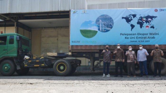 Produk Lokal Kian Mendunia, PTPN VIII Ekspor Teh Walini Ke Uni Emirat ...