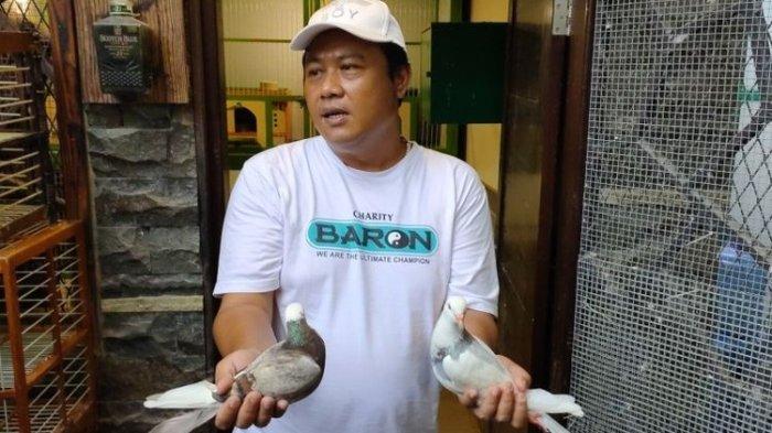 Cerita Merpati Harga Miliaran, Jaguar Dijual Rp 1,5 M, Rampok Rp 2 M ...