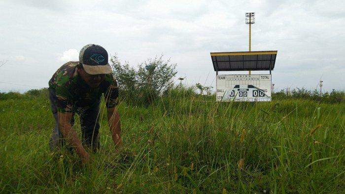 Lapangan Sofbol Bertaraf Internasional Ini Kini Menjadi Tempat Mencari ...
