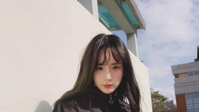3 Fakta Menarik SeolA WJSN yang Gagal Estetik Setelah Unggah Foto Pintu ...