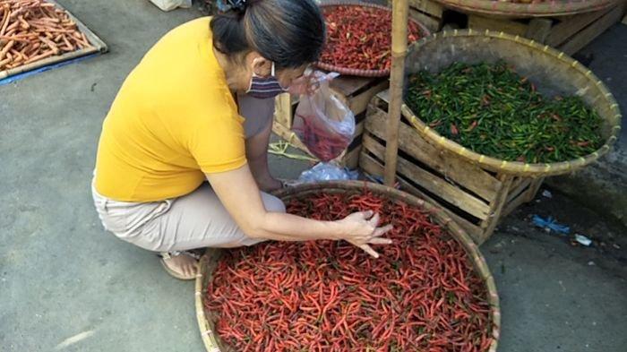 Harga Cabai Rawit Kian Pedas, Jadi Rp 100 Ribu Per Kilogram, Beli Rp 2 Ribu Dikasih Enam Biji ...