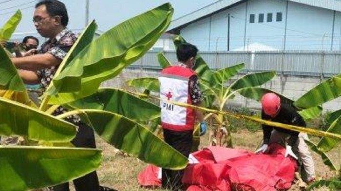 Pencari Rumput Kaget Temukan Mayat Pria di Lahan kosong, Posisinya ...