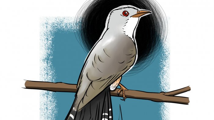 Sit-Uncuing - Tribunjabar.id