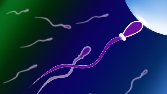 Apakah Ejakulasi Tiap Hari Sehat bagi Tubuh? Ini Penjelasan Ahli, Jangan Percaya Mitos ...