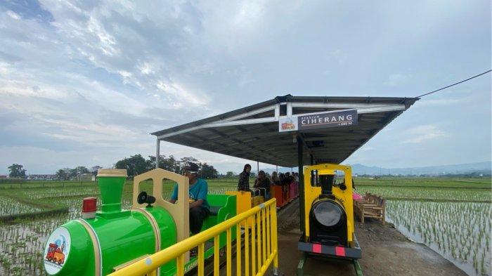 VIRAL, Dangdeur Van Java! Wisata Unik Naik Kereta Api dengan Pemandangan Sawah - Tribunjabar.id