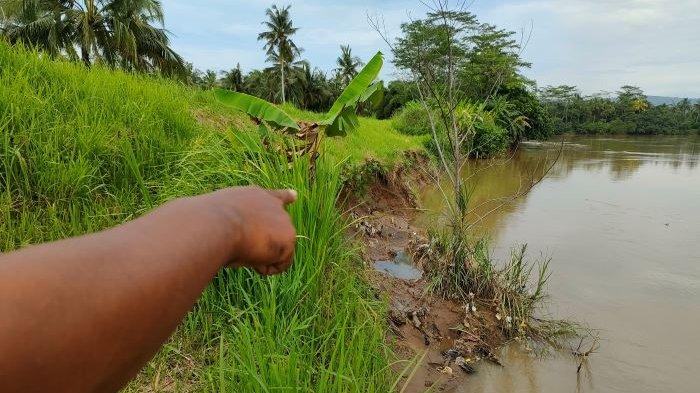 Dua Desa di Pangandaran Terancam Terendam Air Sungai Citanduy, 30 Meter Tanggul Tergerus ...