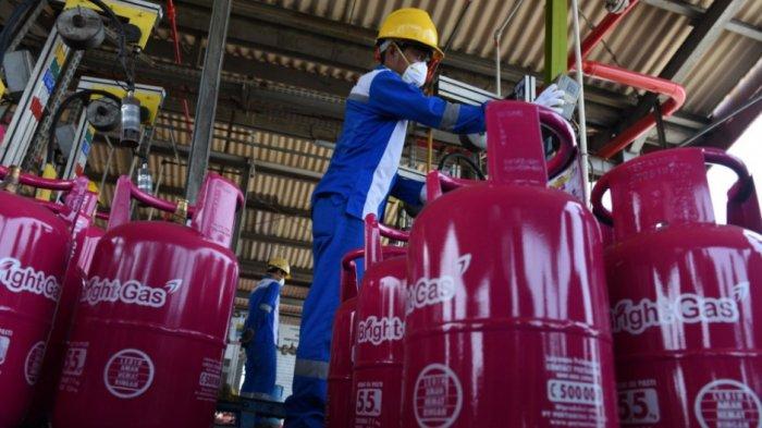 Daftar Harga LPG 5,5 dan 12 Kg Terbaru Februari 2025 di Seluruh ...