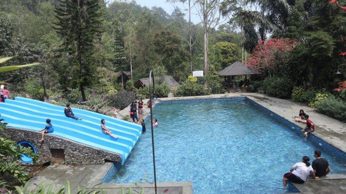 Ini 5 Keindahan Taman Bougenville, Hanya Ada di Cimaung Kabupaten ...