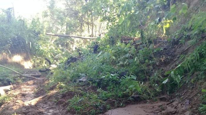 Cianjur Diterjang Bencana Hidrologi Lagi Akibat Hujan Deras, 14 Rumah Rusak Tertimpa Tanah ...