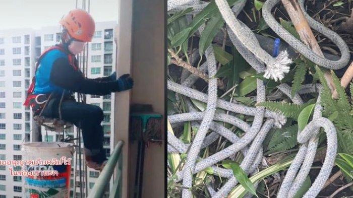 Dua Tukang Cat Tergantung di Lantai 26, Ada Dugaan Percobaan Pembunuhan ...