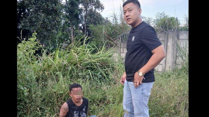 Apes Maling Biji Kopi di Garut, Kepergok saat Beraksi dan Berujung ...