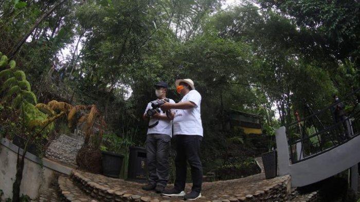 100 Seke di Kota Bandung Hilang Disebabkan Hal Ini, Baru Tiga yang ...