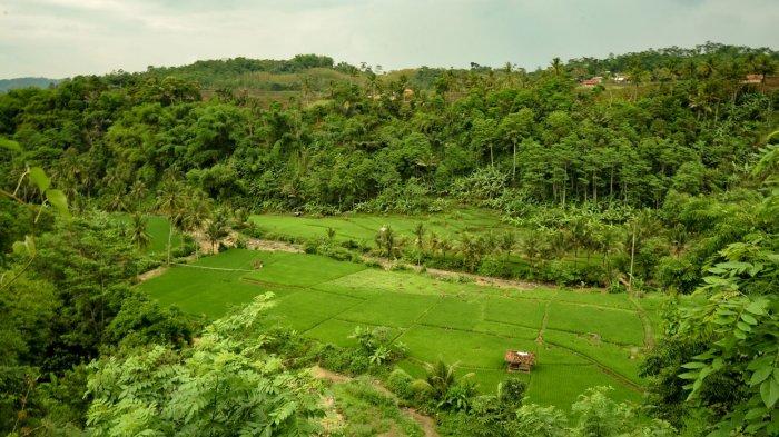 Wisata Edukasi Sejarah di Curug Walanda Citatah KBB, agar Milenial Tahu ...