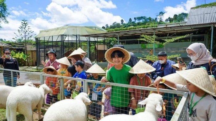 Wisata Edukasi Alam Bandung, Anak Bisa Belajar Sekaligus Bermain di ...