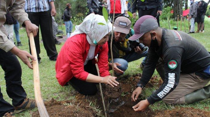 Yena Iskandar Masoem Tanam Pohon di Hulu Sungai Citarum, Komitmen Hijaukan Lahan Kritis ...