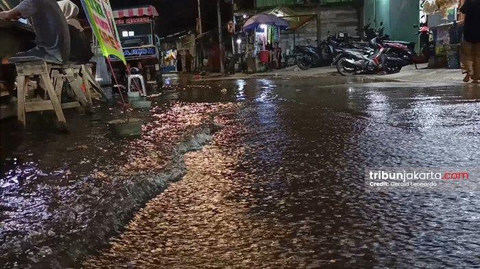 Banjir Rob di Muara Angke Jakarta Utara, 600 Rumah Terendam Hampir 1 Meter - Tribunjakarta.com