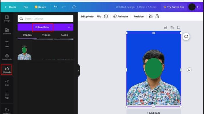 Cara Mengganti Background Foto untuk Daftar Akun SNPMB 2024, Pastikan ...
