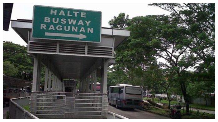 Hari Ini, Halte Ragunan Tetap Beroperasi Normal Meski Sedang ...