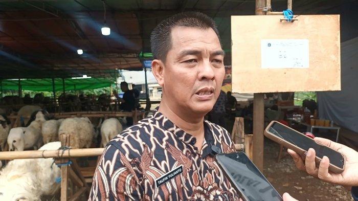 Penjual Hewan Kurban di Jakarta Timur Dilarang Berjualan di Trotoar dan ...
