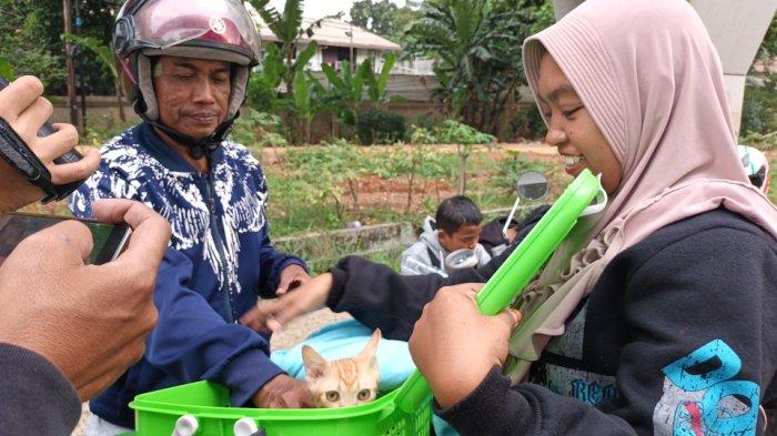 'Biar Ada Teman' Cerita Pemudik Motor di Kalimalang Bawa Kucing ...