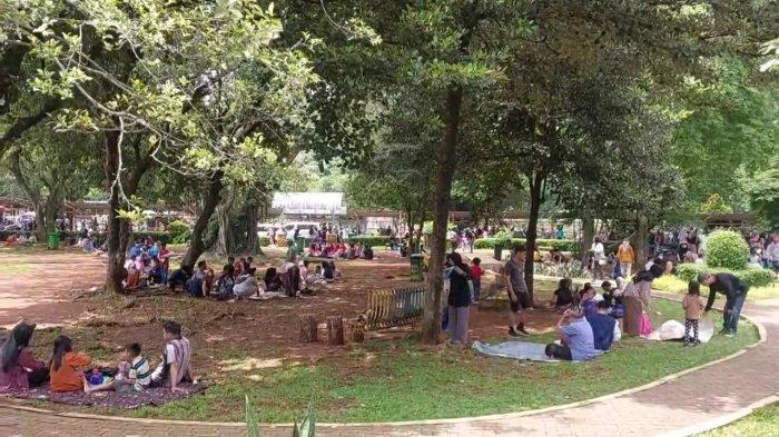 Bisa Sewa Sepeda Listrik, Stroller dan Buggy Car di Taman Margasatwa ...