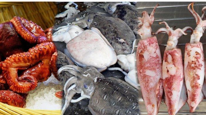 Jangan Ngaku Pecinta Seafood Kalau Kamu Belum Tahu Bedanya Cumi, Sotong ...