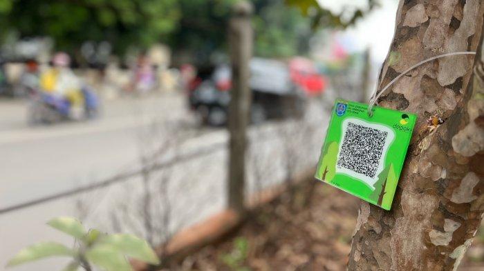Pohon Dipasangi Barcode di Depok, Warga : Pernah Lihat Tapi Enggak Tahu ...