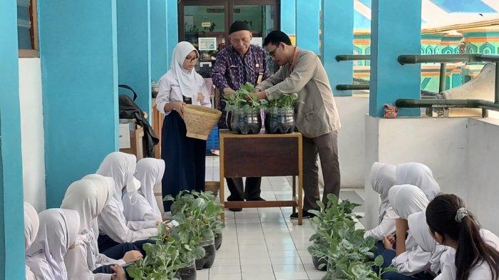 Kreatif! SMPN 209 Jakarta Budidaya Tanaman Sayuran Langka Pakai Galon ...