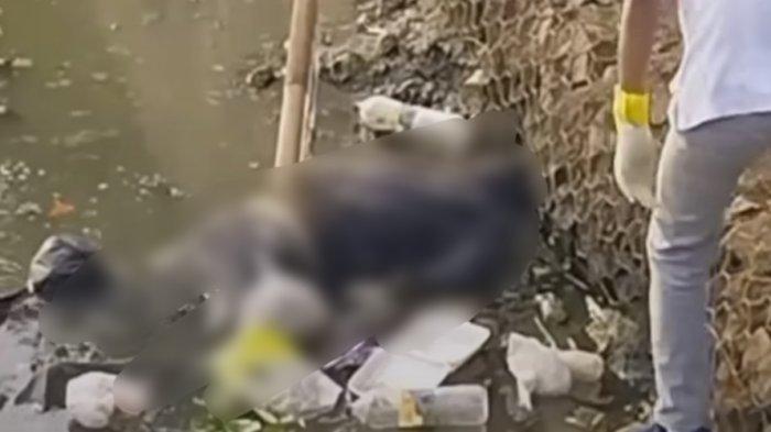 Pengendara Ojol Tewas Mengambang di Kali Penjaringan, 2 Hari Sebelumnya ...