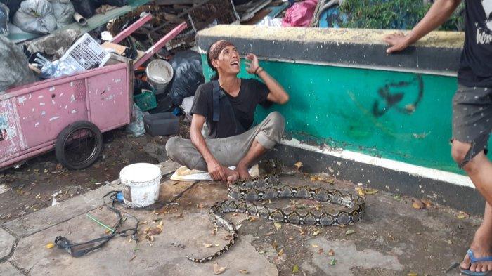 Jangan Lakukan Ini Saat Digigit Ular, Berikut Faskes Yang Punya Stok ...