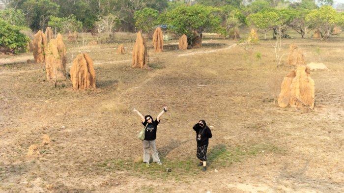 Potret Wisata 1000 Musamus Merauke, Mahakarya Alam di Perbatasan Timur ...