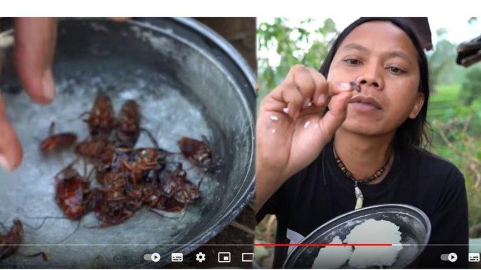 YouTuber Dede Ineon Mukbang Kecoa Pakai Nasi, Apakah Kecoa Aman ...