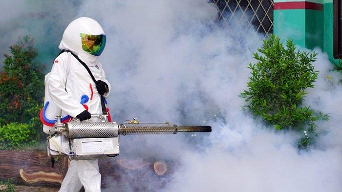 Dinkes Kota Bekasi: Fogging Berlebihan Bisa Bikin Nyamuk DBD Kebal ...