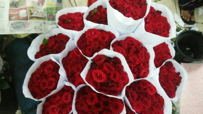 Dikagumi Meski Berduri, Ini Makna Mawar Merah yang Identik dengan ...