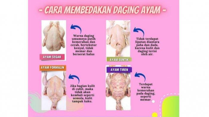 Ciri-Ciri Daging Ayam Segar, Suntikan, Formalin, dan Tiren Sebelum ...