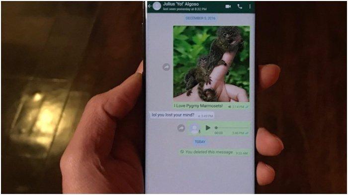 Cara Hapus Pesan WhatsApp yang Sudah Dikirim Lebih dari Satu Jam, Ini ...