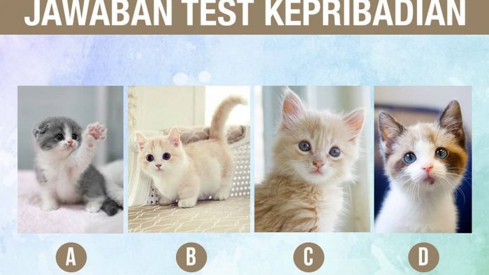 Pilih dan Temukan Karaktermu Lewat Gambar Kucing Favorit ...